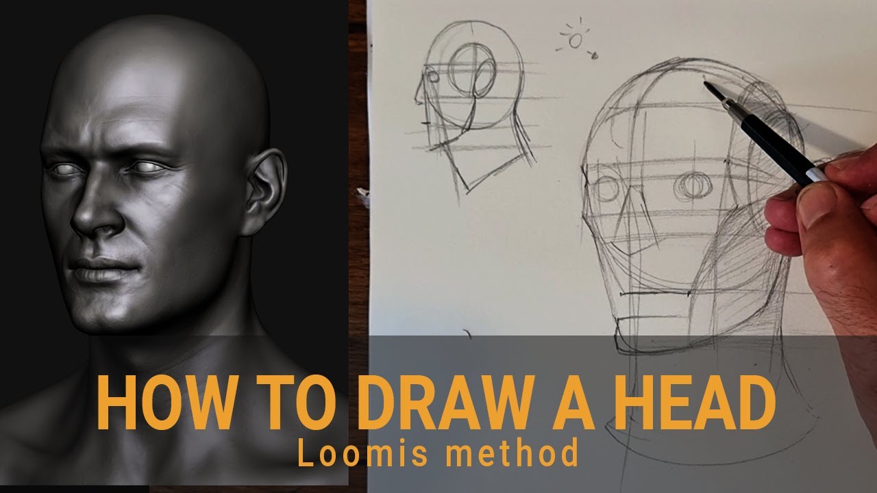How to draw a human basic head using the loomis methode part1 - YouTube