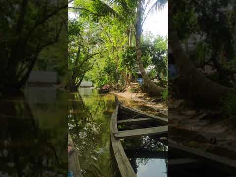 Yakında Kerala videosu geliyor 💗 #shorts #hindistan