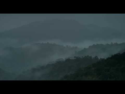 Entrelobos 2010 parte 0 - Películas completas en español latino