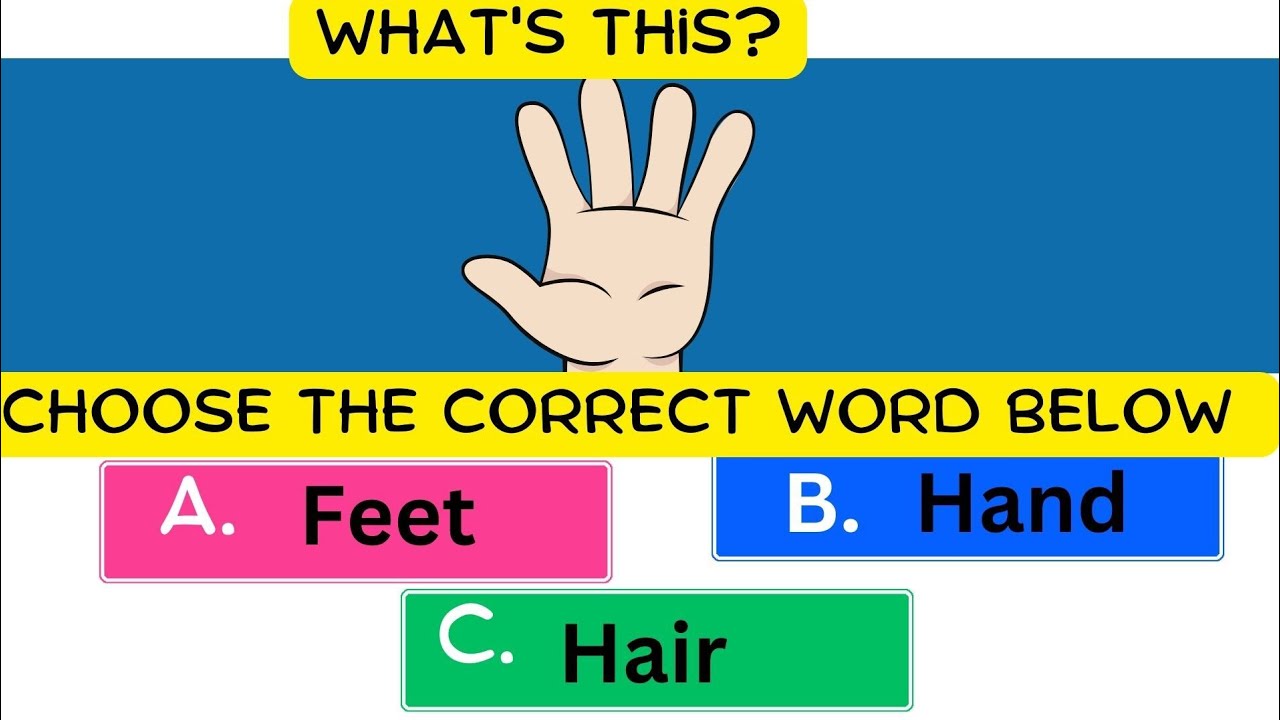 Body Parts Quiz|Learn Body Parts Quickly|kidsclub0722 - YouTube