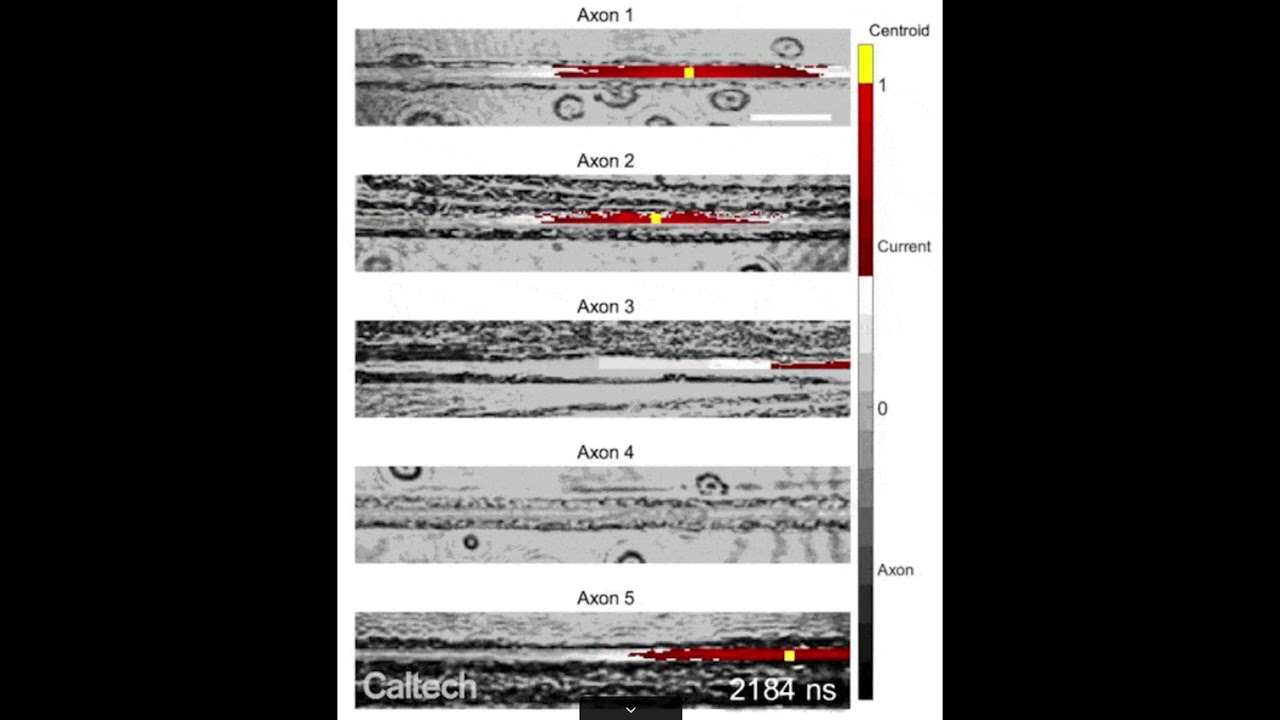 caltech diff-cup - YouTube caltech diff-cup - YouTube