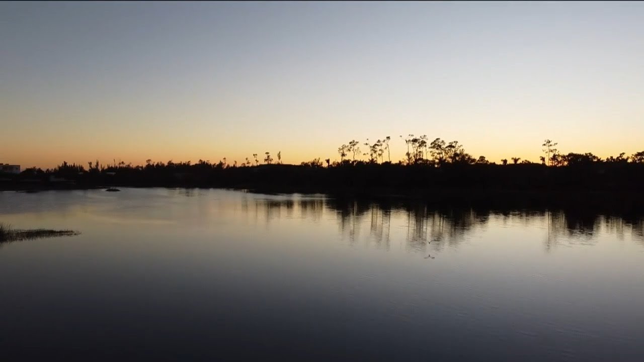 SWFL's Annual Invasive Fish Roundup - YouTube