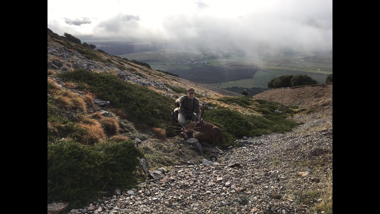 RONDA IBEX HUNT 2024. PRO HUNTING SPAIN . SPANISH IBEX HUNT. SPAIN ...