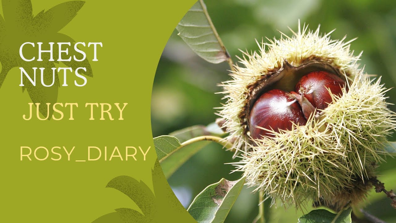Let try chest Nuts🫣🥰 - YouTube