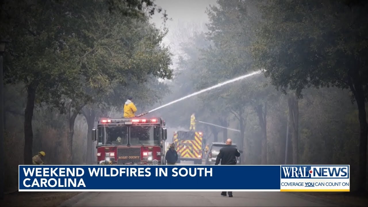 Carolina Wildfires Latest: SC State of Emergency, massive wildfire ...