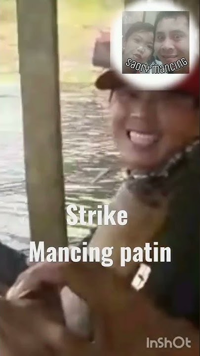 mancing patin waduk cirata 2022//rakit entus//#saorymancing#shorts - YouTube