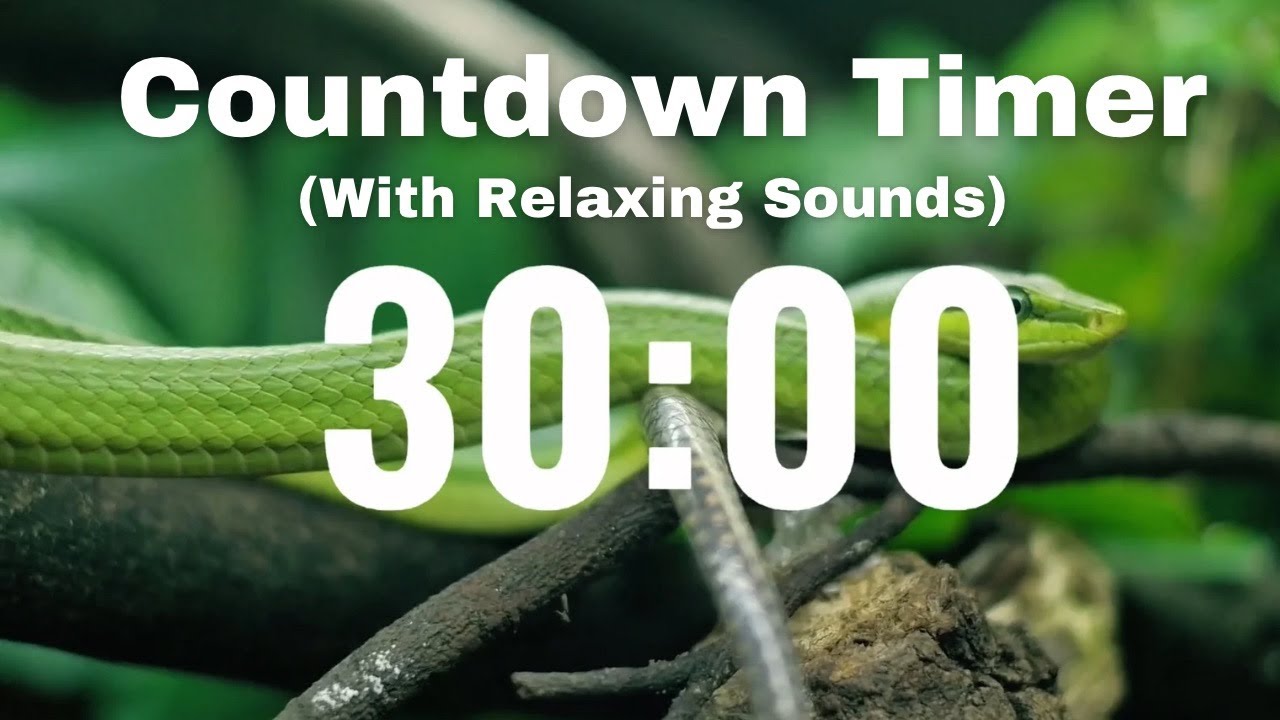 30 MINUTE TIMER WITH RELAXING MUSIC - YouTube