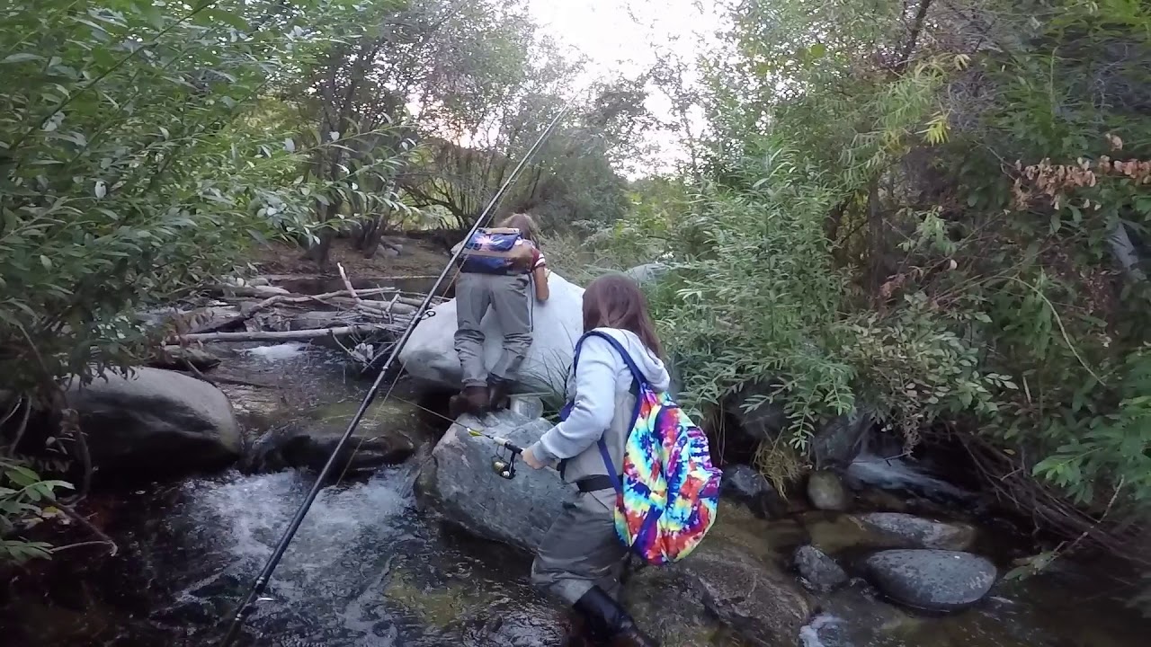 San Gabriel River West Fork finding trout, so fun, so tired - YouTube