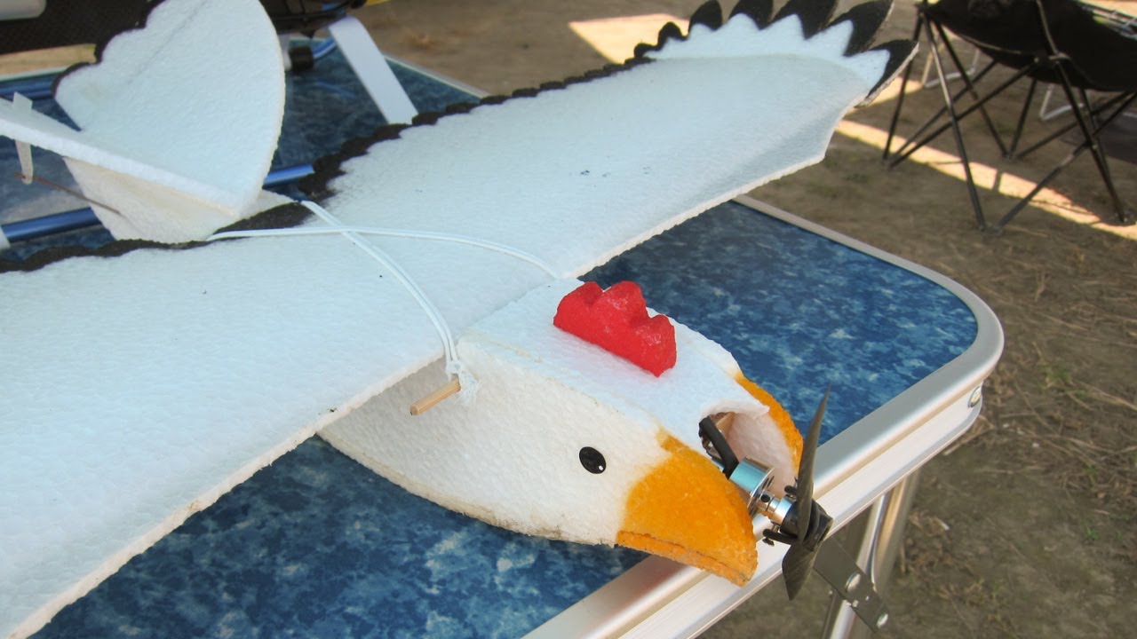 EPP Flying Chicken - YouTube