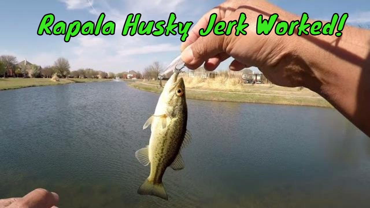 Pond Fishing Dual DIY BFS Micro Fly Rod | Kastking Zephyr and a Rapala ...
