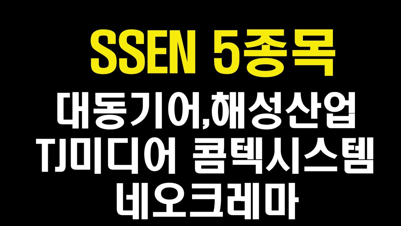 SSEN 전문가 5가지 종목 선정 공개!! - YouTube