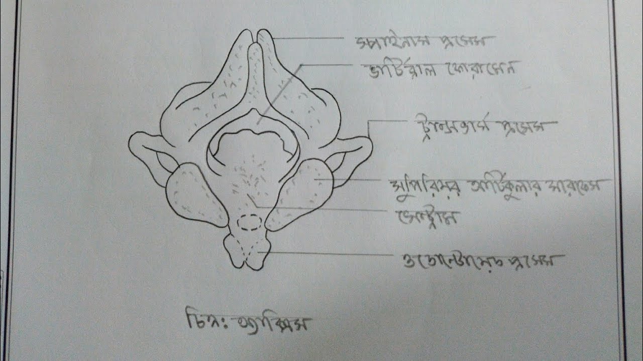 HSC Zoology practical khata 2024-2025|| এইচএসসি প্রাণীবিজ্ঞান ব্যবহারিক ...