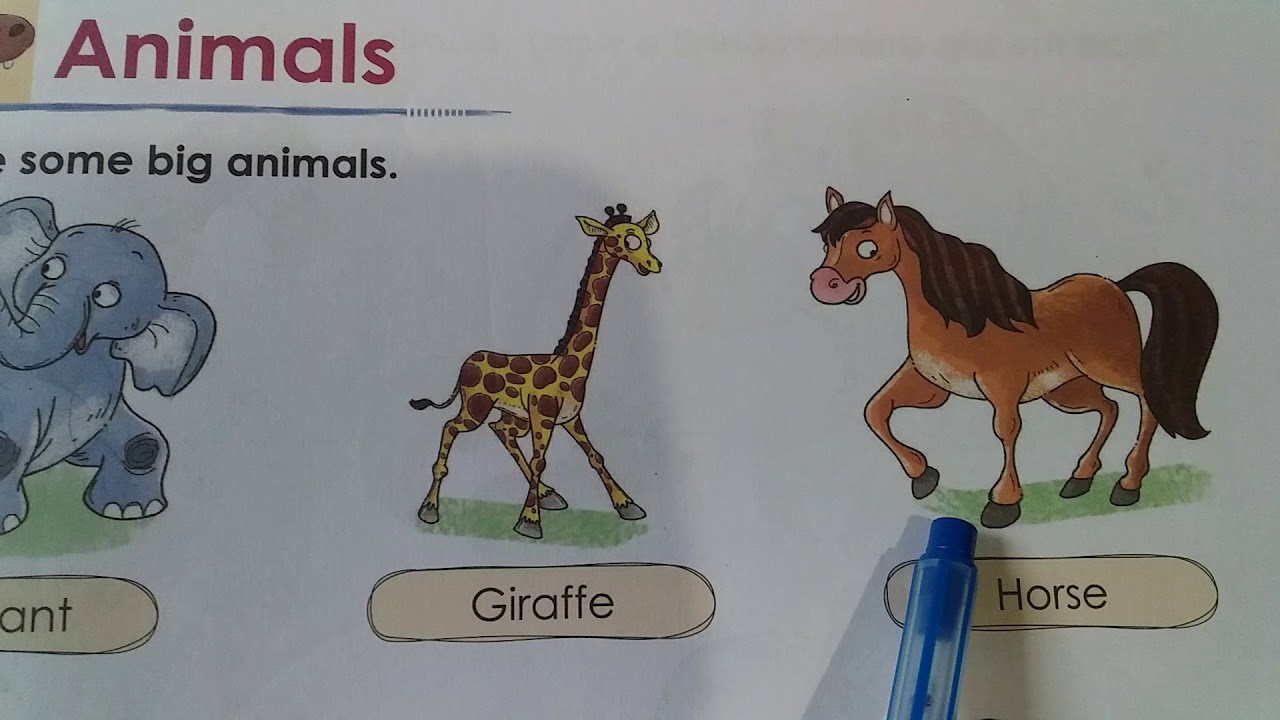 For Nursery and Kg Animals and Pets - YouTube