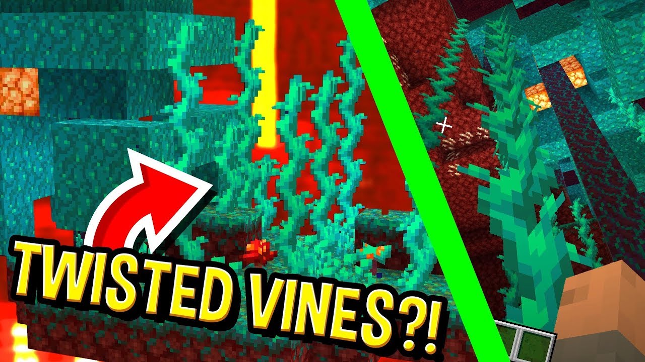 Nether Update Snapshot 20w11a: Twisting Vines, Soul Speed Enchantment ...