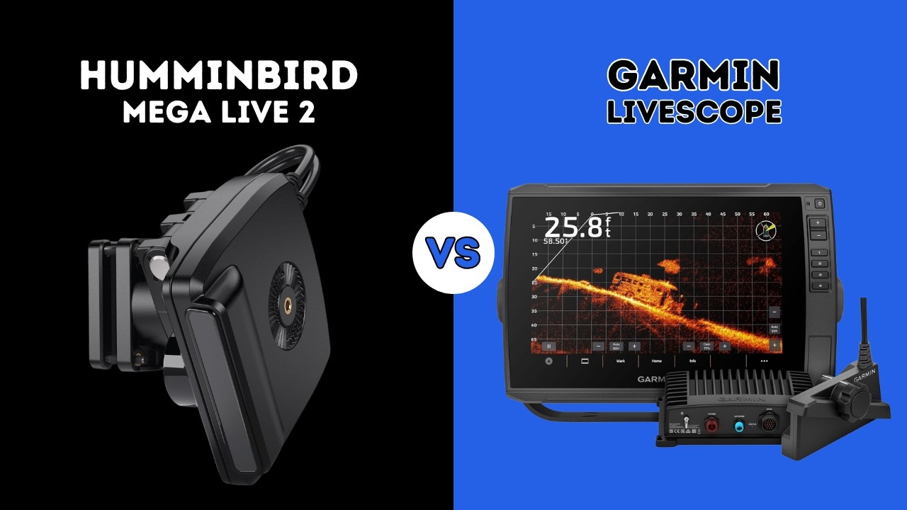 Mega Live Vs Livescope