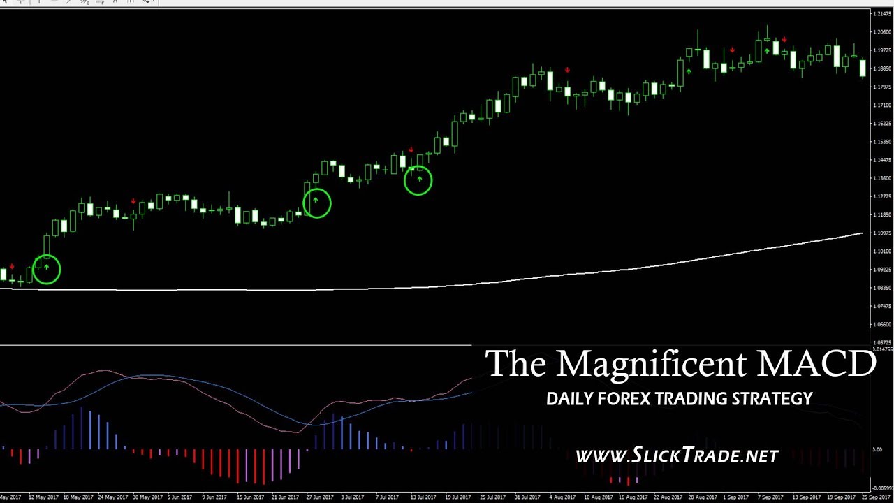 The Magnificent MACD Forex Trading Strategy - YouTube