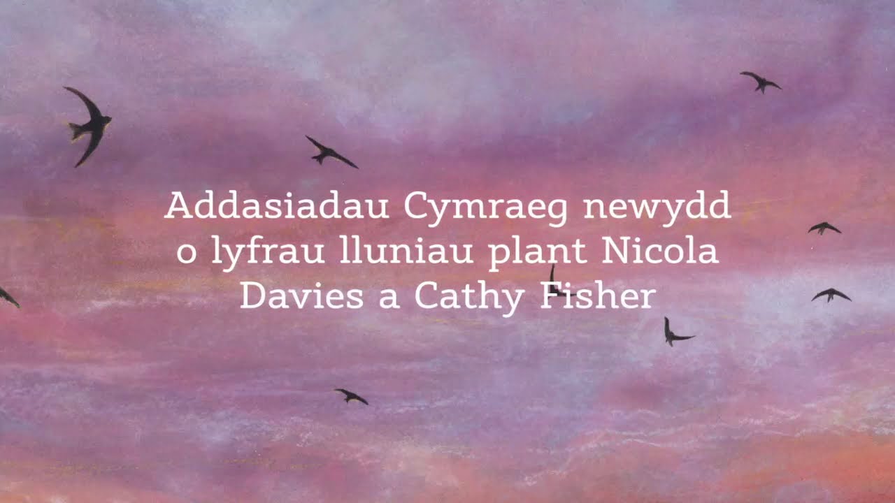 Perffaith, Y Pwll & Y Ferch Newydd gan Nicola Davies & Cathy Fisher ...