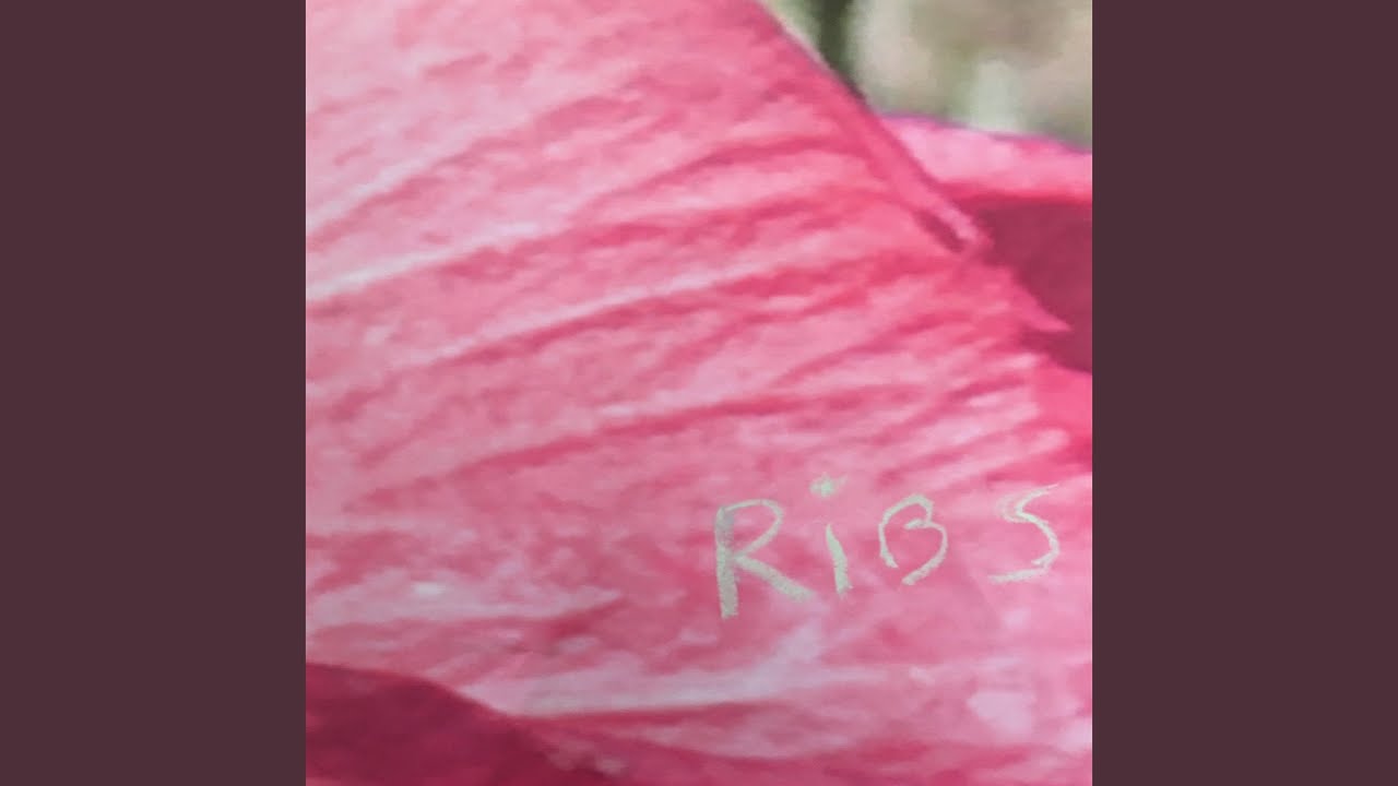 Ribs YouTube ribs-youtube