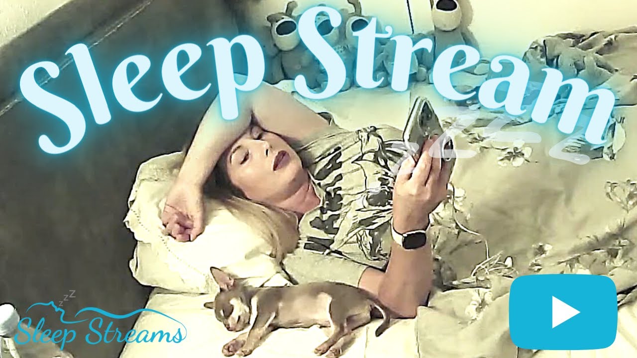 live Sleep Stream with Snoring ASMR with Puppy - YouTube