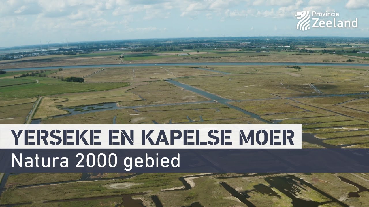 Natura 2000 Gebied Yerseke en Kapelse Moer - YouTube