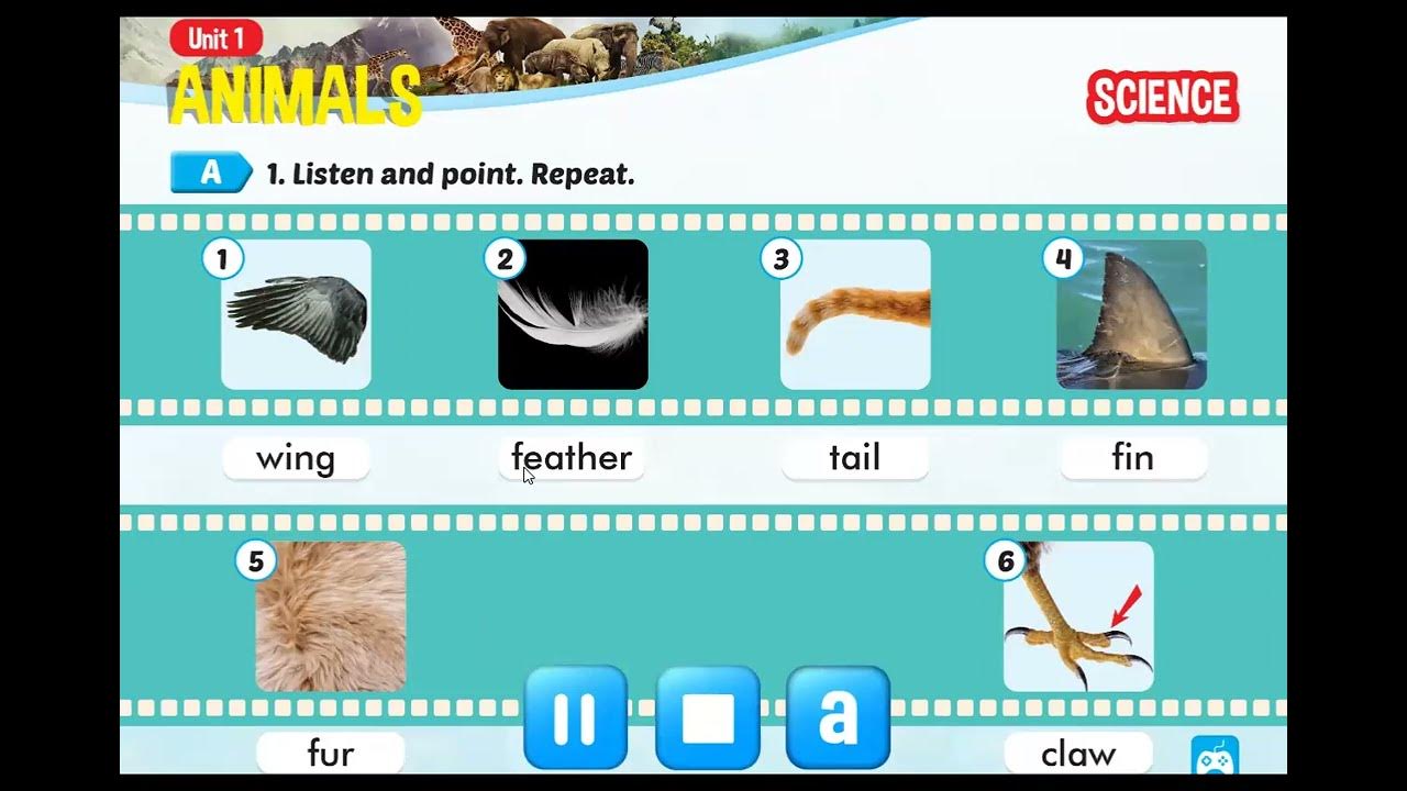 Tiếng Anh 4 I Learn Smart Start Mới - Unit 1 Animals - Science and Review & Practice - YouTube