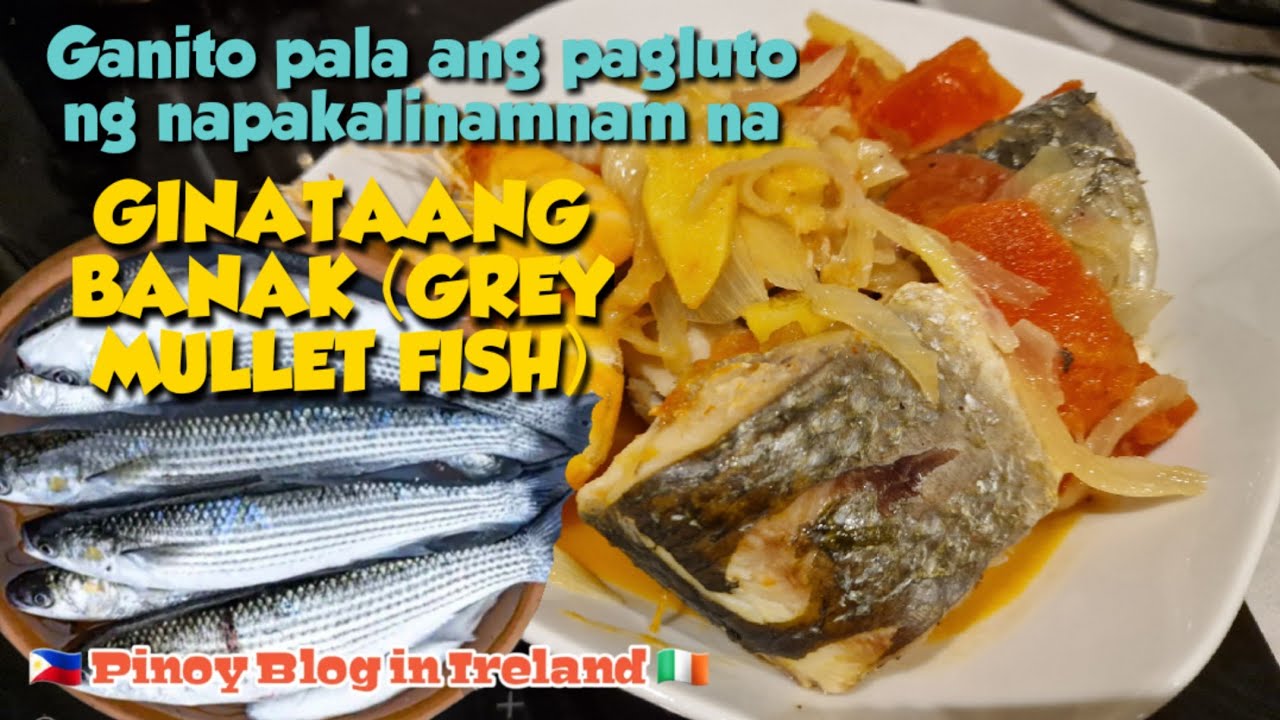 GINATAANG ISDANG BANAK O GREY MULLET FISH • JnC CORNER - YouTube