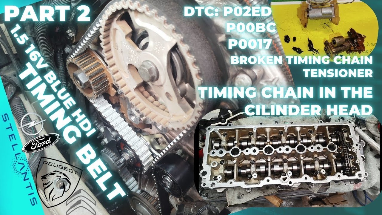 Psa 1.5 16v blue hdi timing belt and chain replacement in the cilinder ...