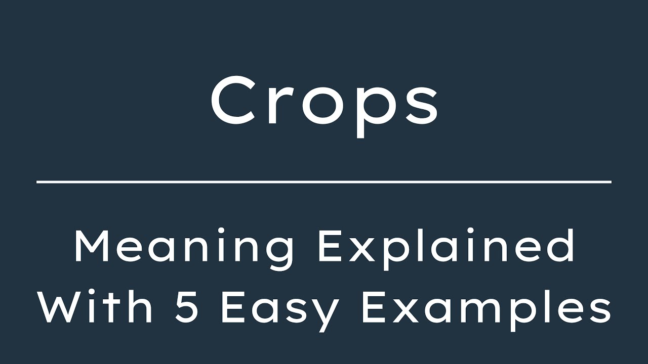 Crops Meaning in English With 5 Example Sentences, Crops Meaning in ...