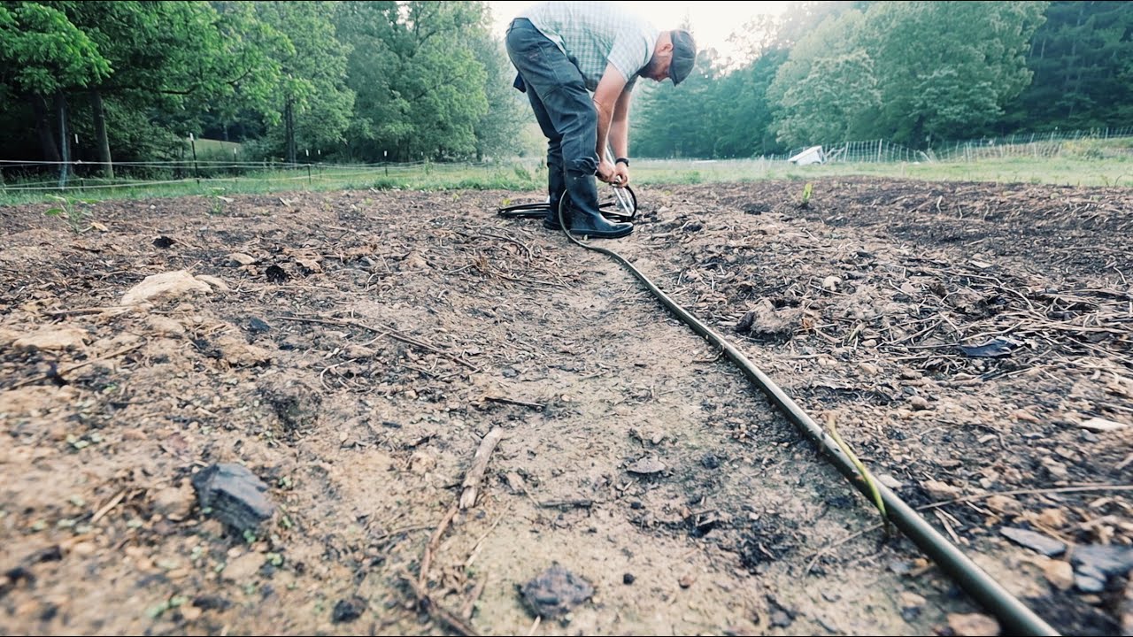 My Garden was too Dry, Until Now - YouTube
