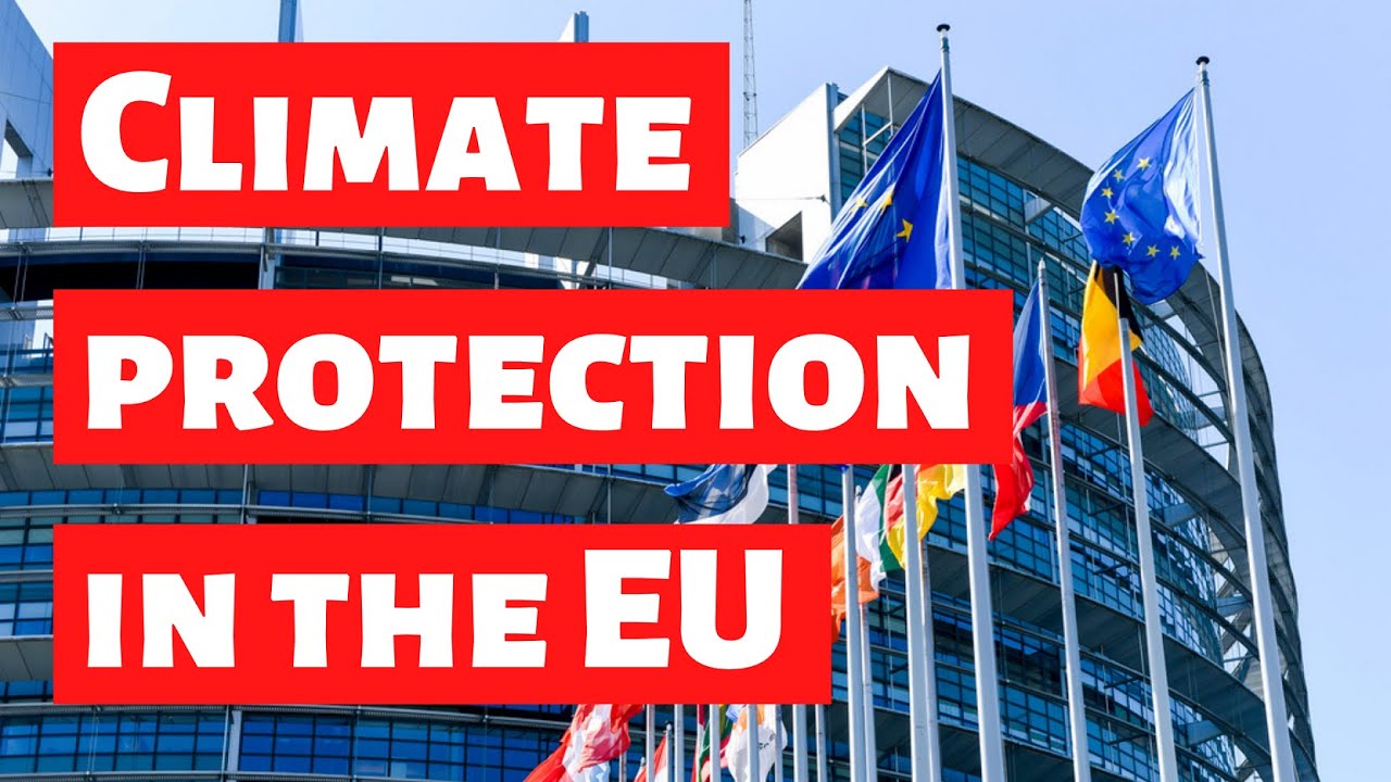 Inquiry: Climate and environmental protection in the EU - EU explained ...