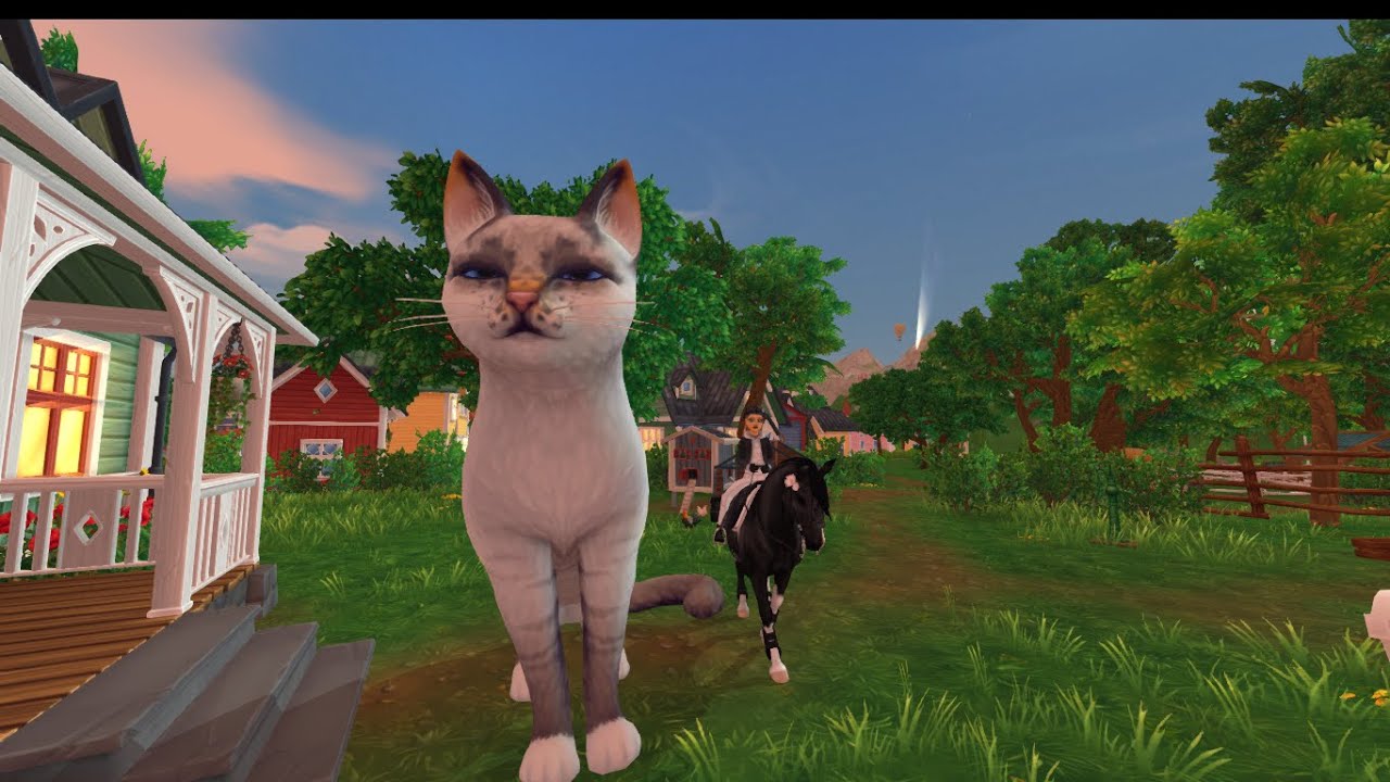 A giant cat on the loose (star stable glitch) - YouTube