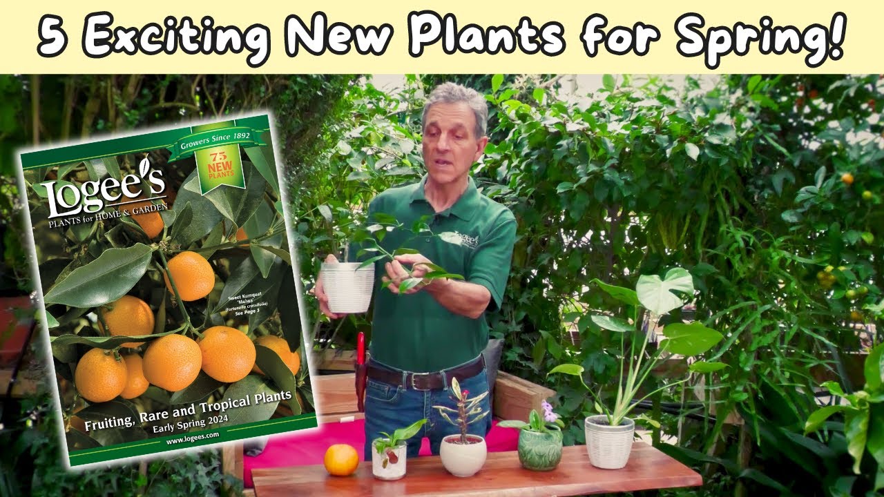5 Exciting New Plants for Spring 2024! - YouTube