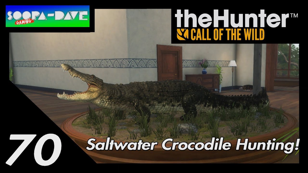 The Hunter Call Of The Wild Saltwater Crocodile Hunting Emerald Coast Australia - YouTube