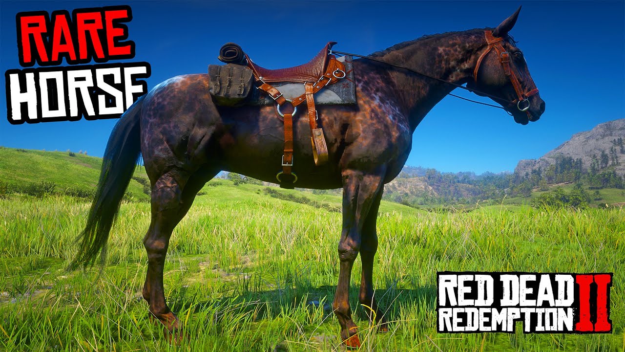 6 Rare Thoroughbred Horses (Location & Rankings) - RDR 2 - YouTube