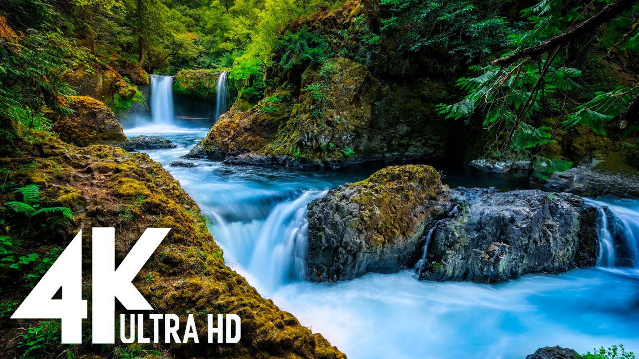 Relaxing & Soothing River Sounds Near a Beautiful Waterfall in the ...