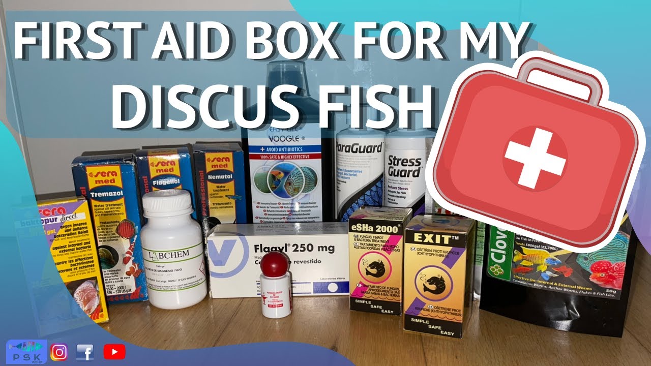 FIRST AID BOX FOR MY DISCUS FISH - The medicines I have stored for any ...