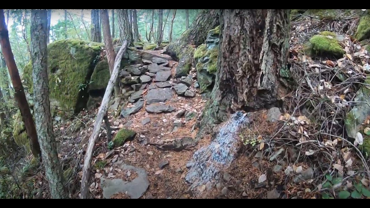 Riding at The Tzou! (Mt. Tzouhalem) on a classic trail Danalyzer! - YouTube