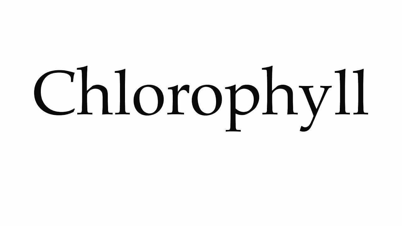 How to Pronounce Chlorophyll - YouTube