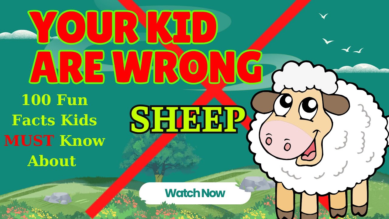 What Your Kids Think They Know About Sheep Might Be Wrong! 100 Fun ...