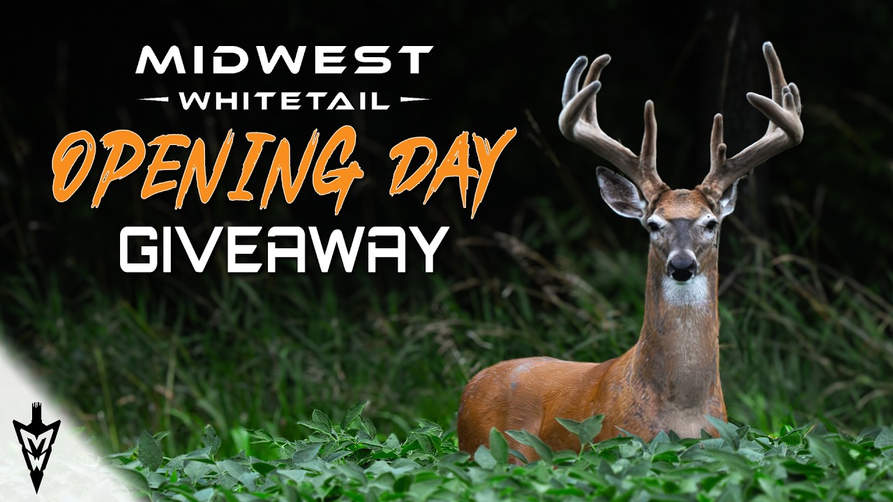 Our Biggest Giveaway To Date, Chasing November Season 10 Details ...