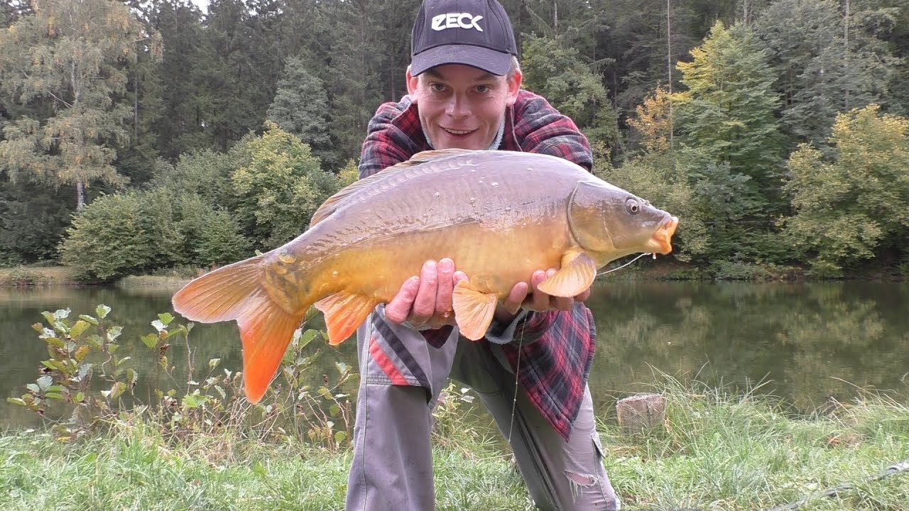 Friedfische im Herbst - YouTube