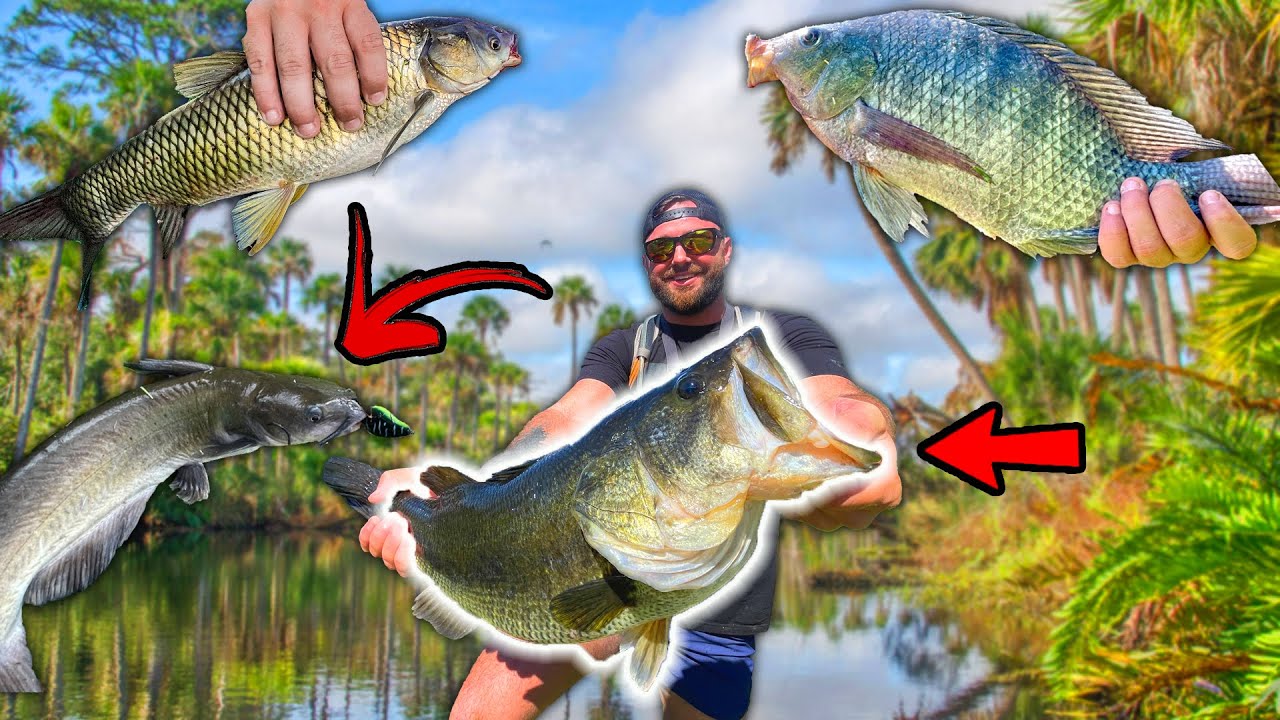 24 Hour MULTI - SPECIES Fishing Challenge!!! (WITH ONLY 1 LURE!) - YouTube