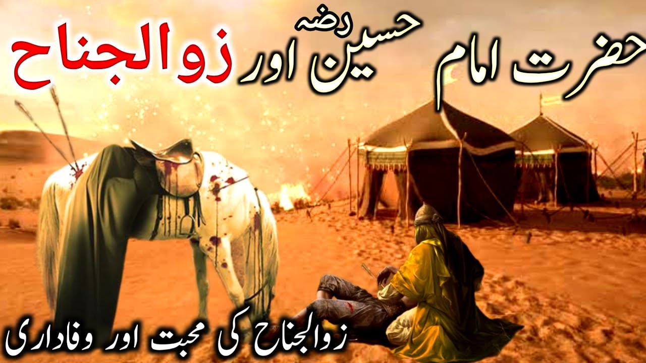Hazrat Imam Hussain ka ghoda Zuljanah | Waqia Karbala in urdu | Islamic ...