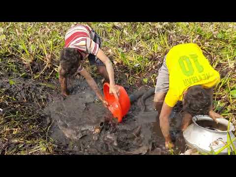 Amazing Hand Fishing Style Two Clever Guy Catches Many Catfish Under ...