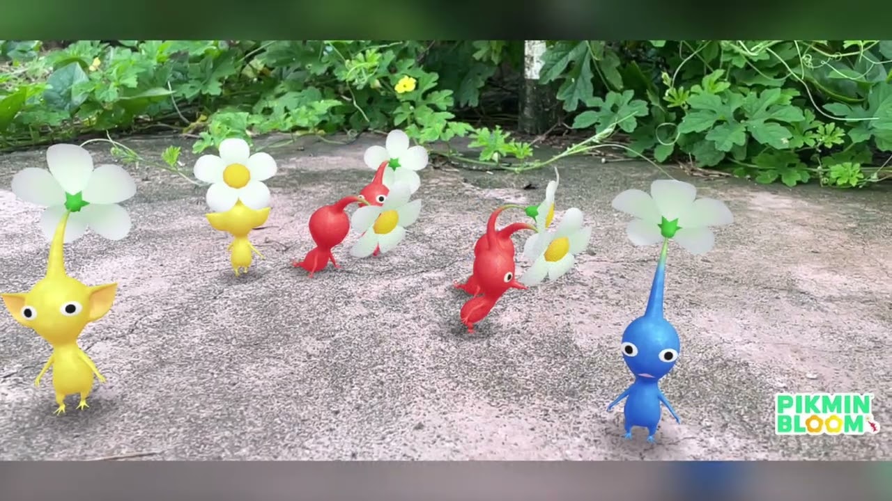 Playing Pikmin Bloom 🌸🌼 | Using AR / pikmin IRL 🌏 My first blue pikmin ...