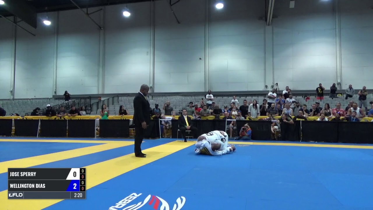 Wellington "Megaton" Dias vs Mario Sperry / World Master 2017 - YouTube