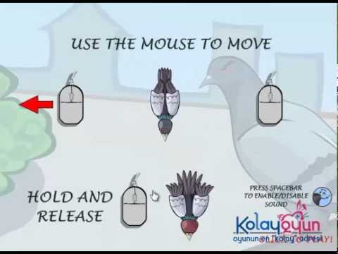 Kolayoyun.com - Güvercin Pisliği Oyunu Oyna