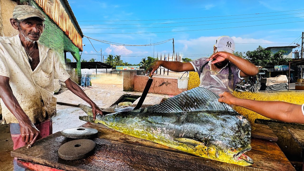 OMG ! The Destiny of $150 Worth Big Giant - Mahi Mahi Fish Breaking ...