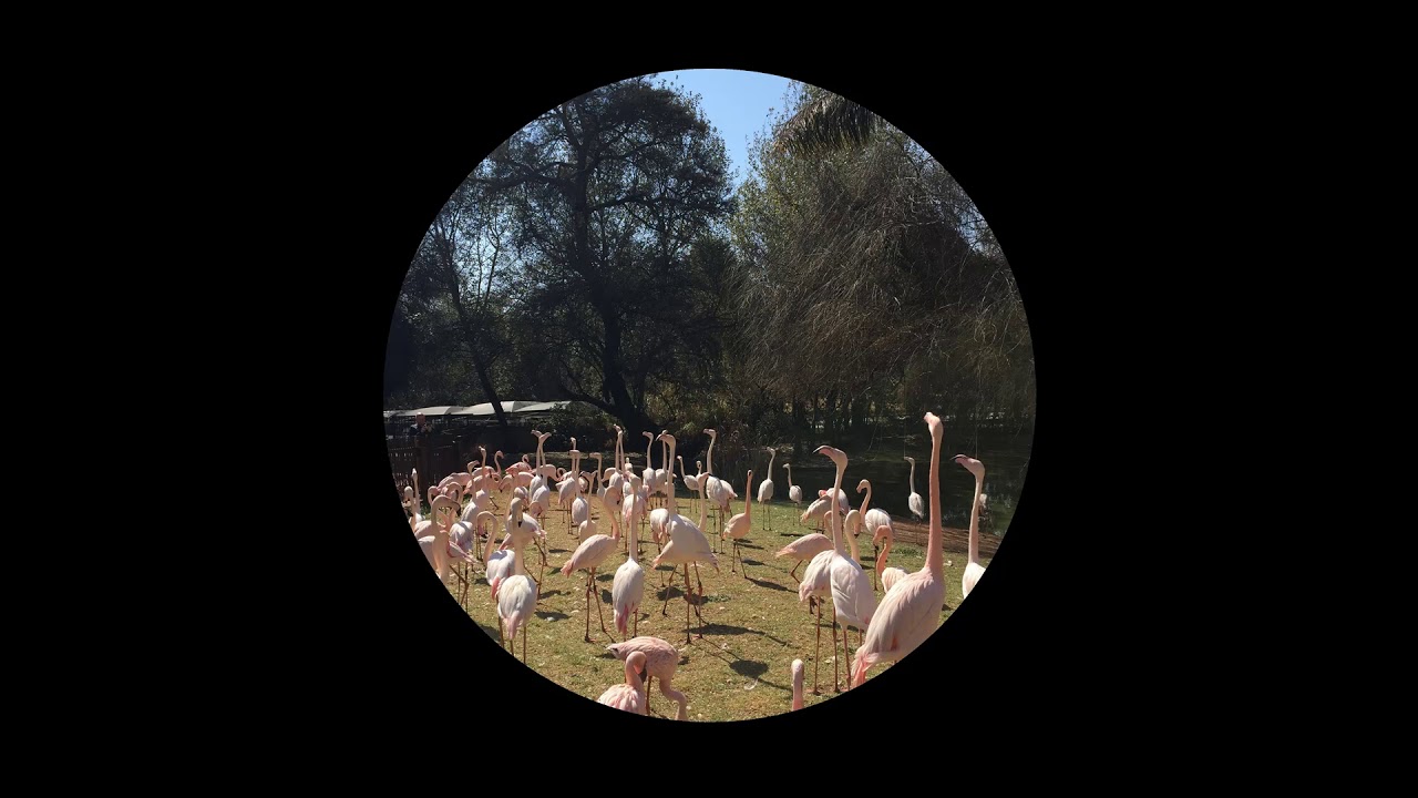 LO FI House Mix #9 - YouTube