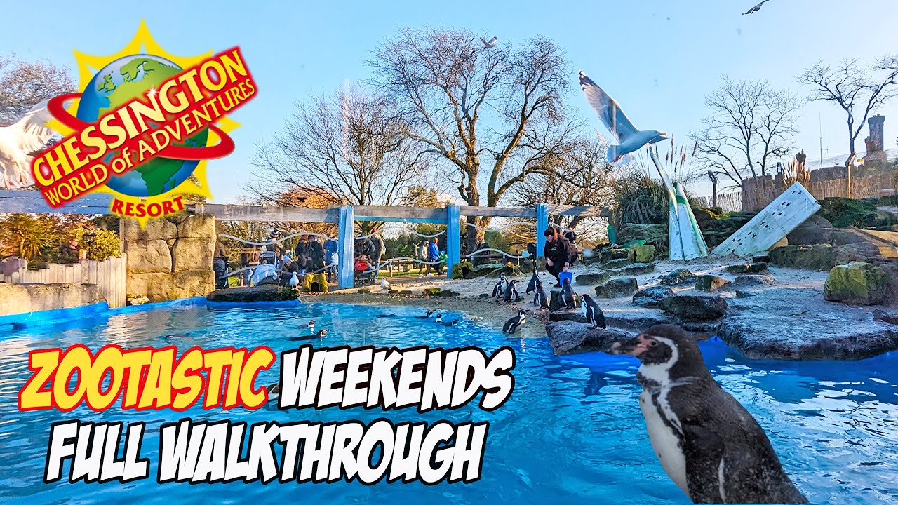 Zootastic Weekends Event Full Walkthrough at Chessington World of ...